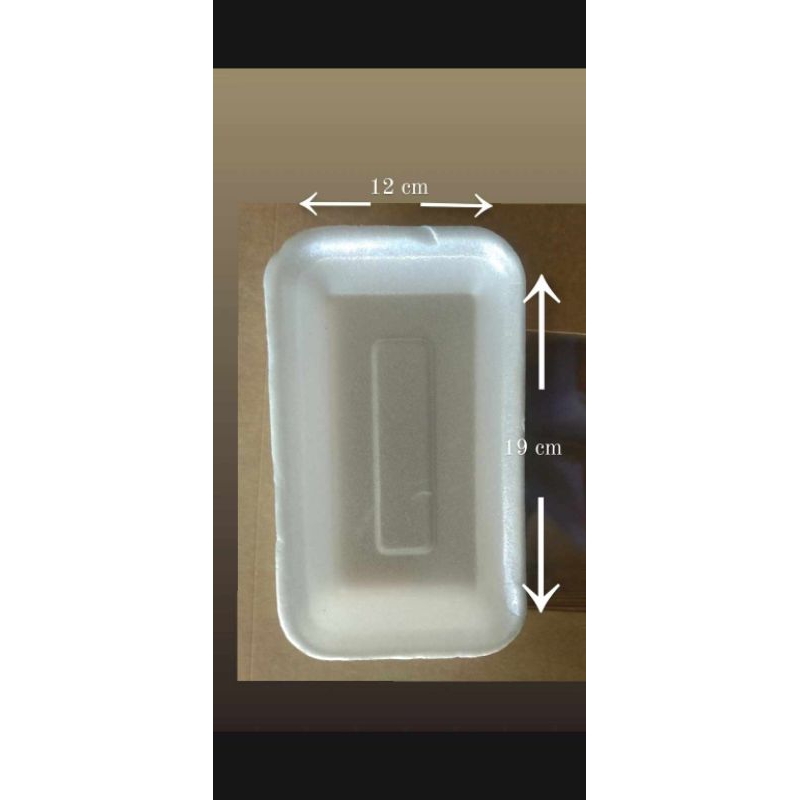 Fruit tray styro pack | Shopee Philippines