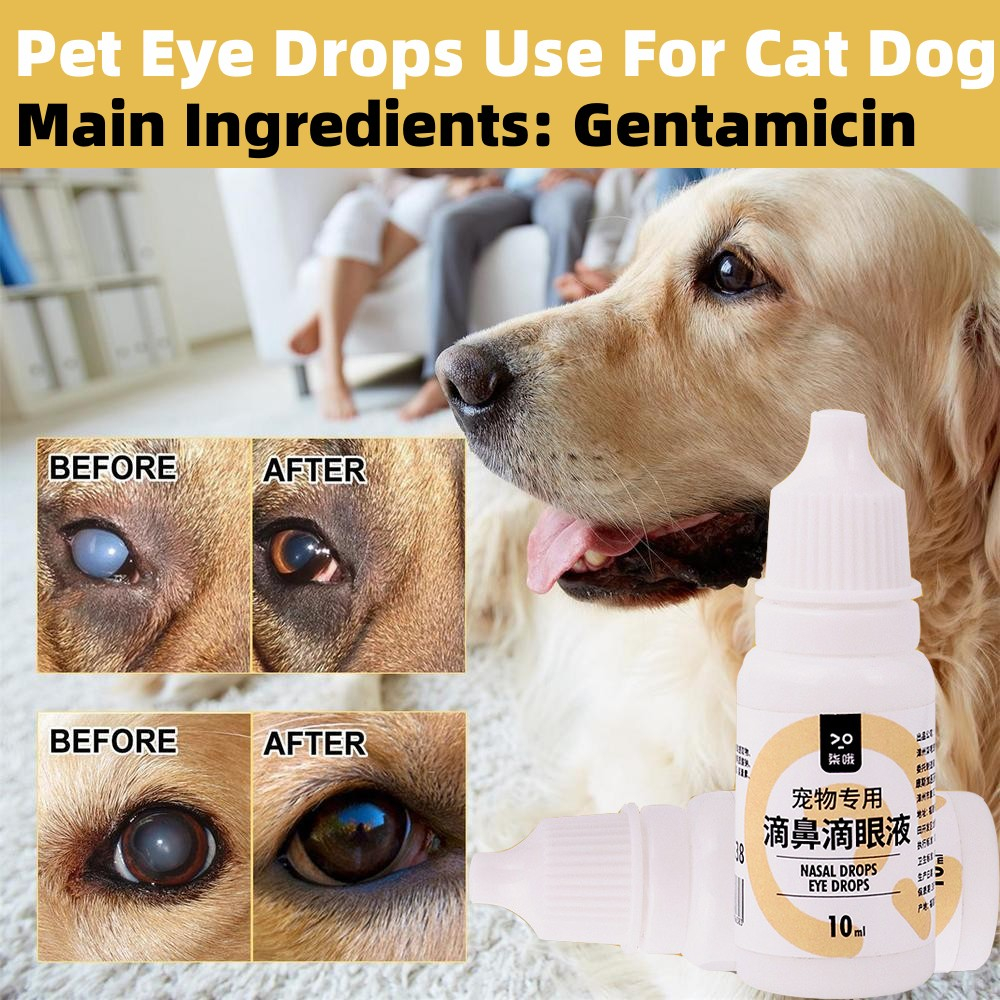 7O Dog Eye Drops Gentamicin Sulfate For Dogs Eyes Eye Drops For Cat ...
