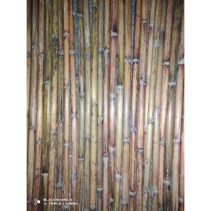 10 Pcs 2ft 3ft 4ft 147cm Bamboo Stick For Plants Support 1cm To Haft