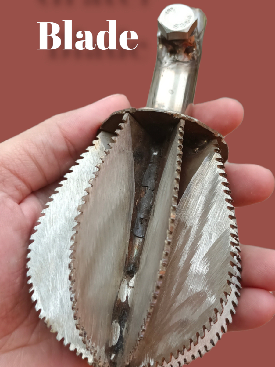 100% Pure Stainless 12mm Coconut Grater Blade Fit in Washing Motor or ...