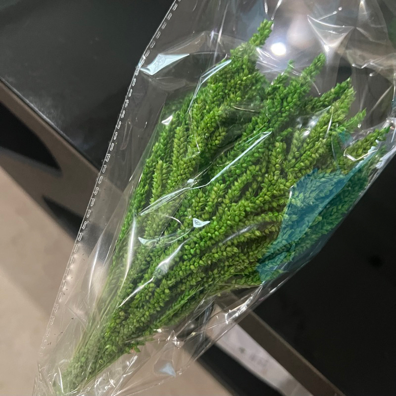 Dried Trigo Grass(LOCAL) | Shopee Philippines