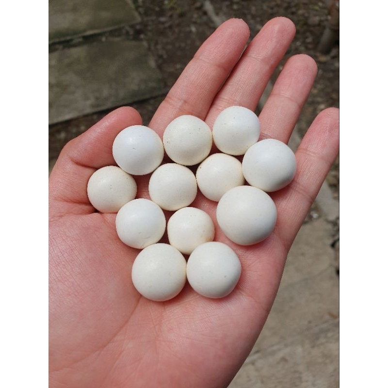 Batong Omo (White) Blessed and Ritualized Charm | Shopee Philippines
