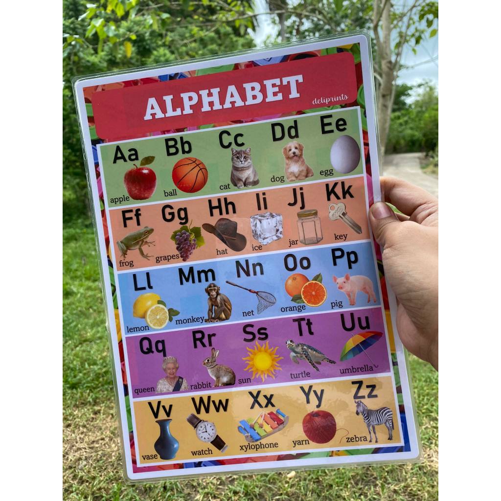 Laminated Educational Chart A4 size | Shopee Philippines
