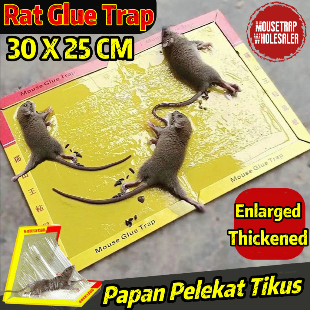 (Super Strong Adhesion) Mouse & Rat Trap Glue Board Sticky mouse board ...