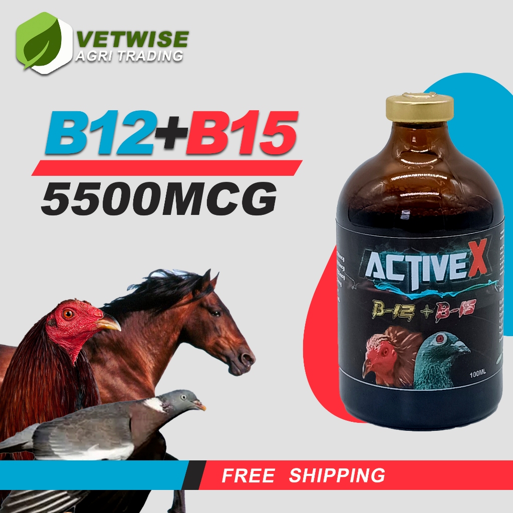 ACTIVEX B12+B15 (Free Extra Stamina Drops) | Shopee Philippines