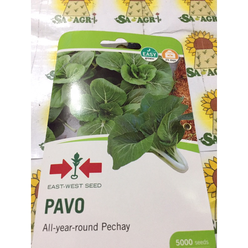 Pavo Pechay Seeds (5000seeds) | Shopee Philippines
