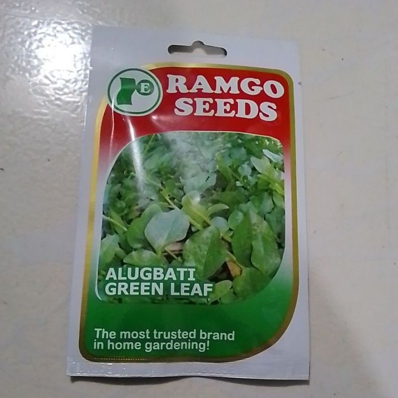 GREEN ALUGBATI SEEDS 1 ORIGINAL PACK( RAMGO)SEEDS | Shopee Philippines