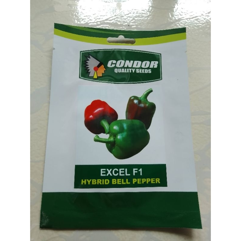 EXCEL F1 HYBRID BELL PEPPER SEEDS(50 SEEDS)BY CONDOR SEEDS | Shopee ...