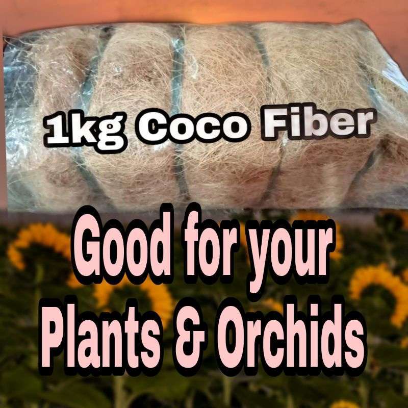 1 kg coco fiber for plants | Shopee Philippines