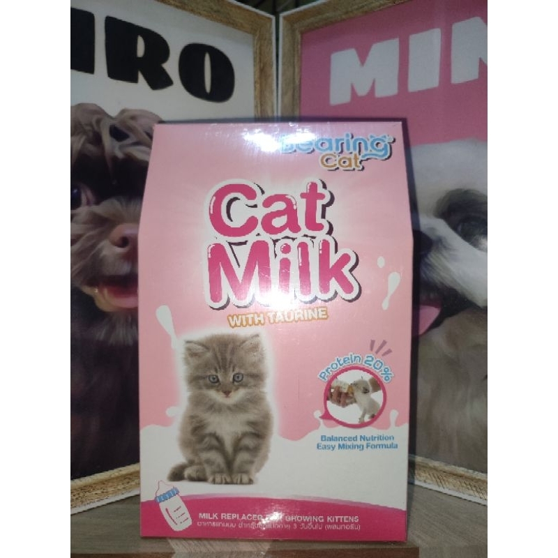 Bearing Cat Milk 100g | Shopee Philippines