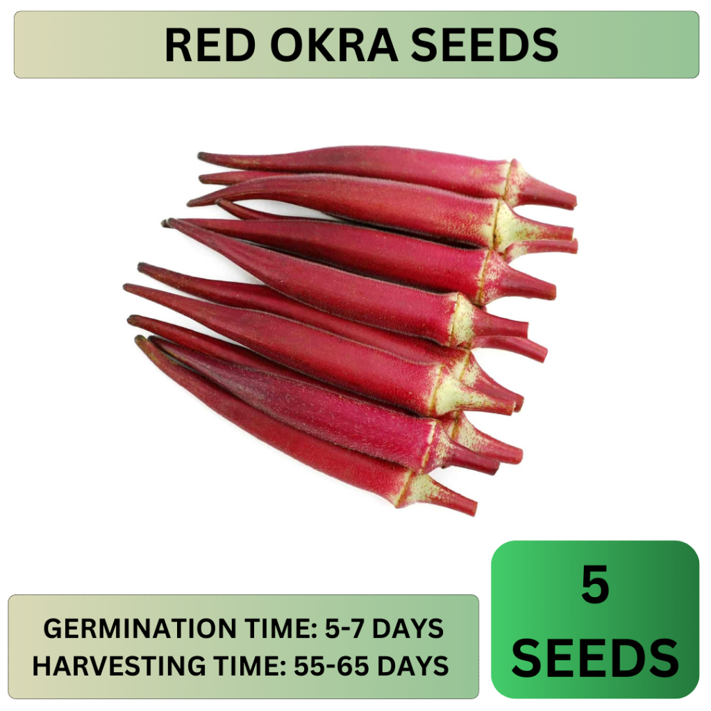 (SET 2) SULIT PACK! VEGETABLE SEEDS! (Pechay Tomato Mustasa Talong ...