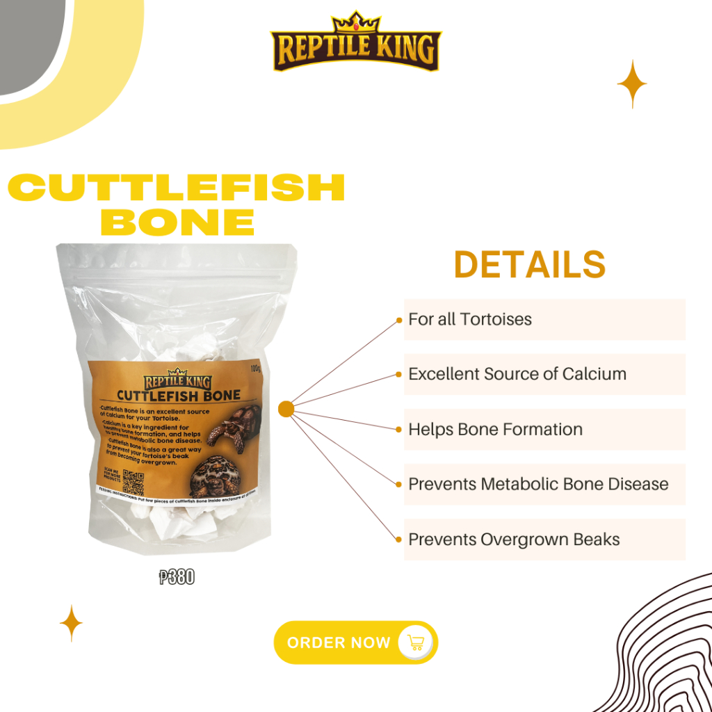 Cuttlefish Bone Calcium Supplement Reptile Tortoise 100grams | Shopee ...