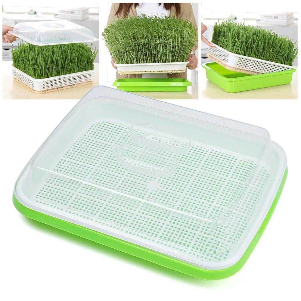 HALLOMALL 3/6pcs Seed Sprouting Tray with Lid Double Layer Germination ...
