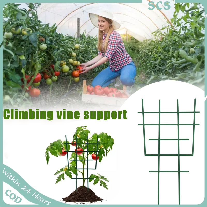 6PCS Plant Climbing Support Rack Multifunctional Plastic Climbing vine ...