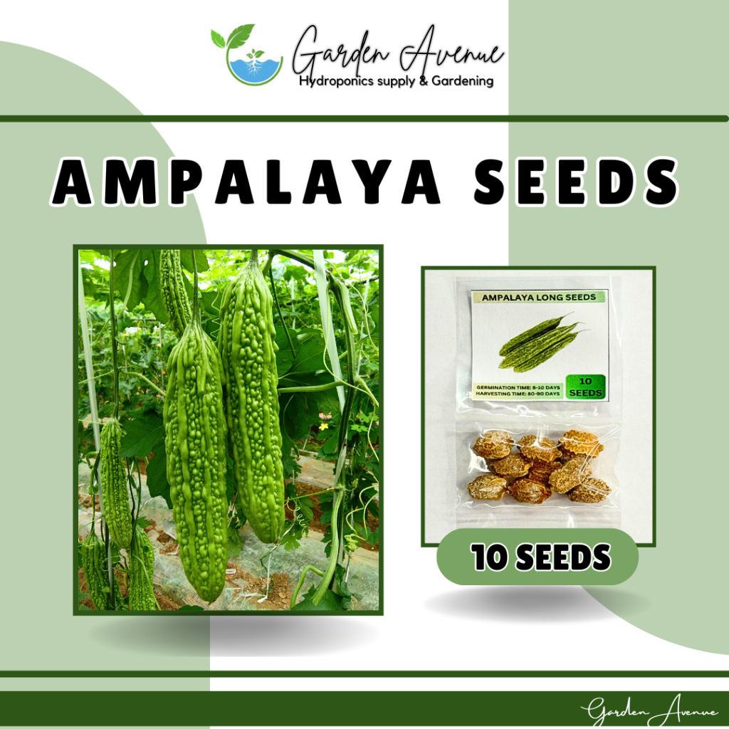 AMPALAYA SEEDS (10pcs seeds) LONG/HYBRID/EASY TO GROW | Shopee Philippines