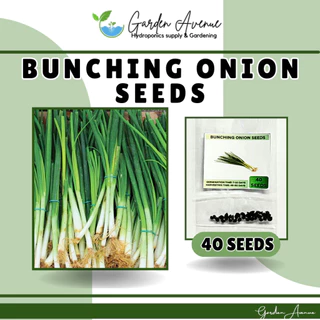 Garden Avenue, Online Shop | Shopee Philippines