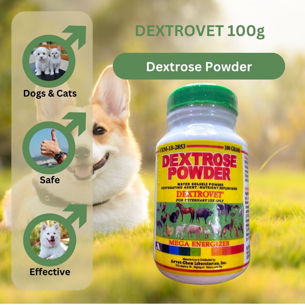 DEXTROVET Dextrose Powder 100grams | Shopee Philippines
