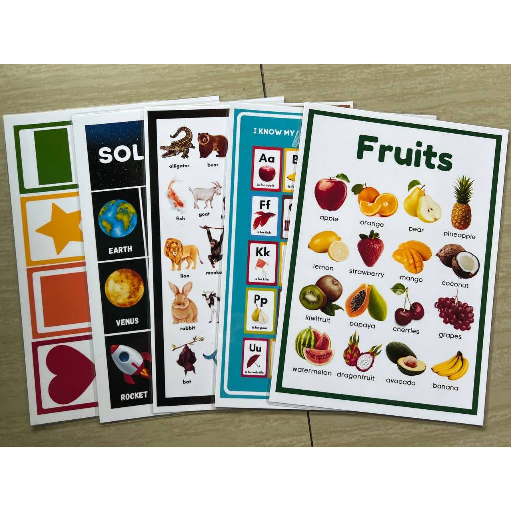 BUNDLE OF 5 Educational learning materials for kids Laminated A4 Size Chart 125MIC | Shopee ...