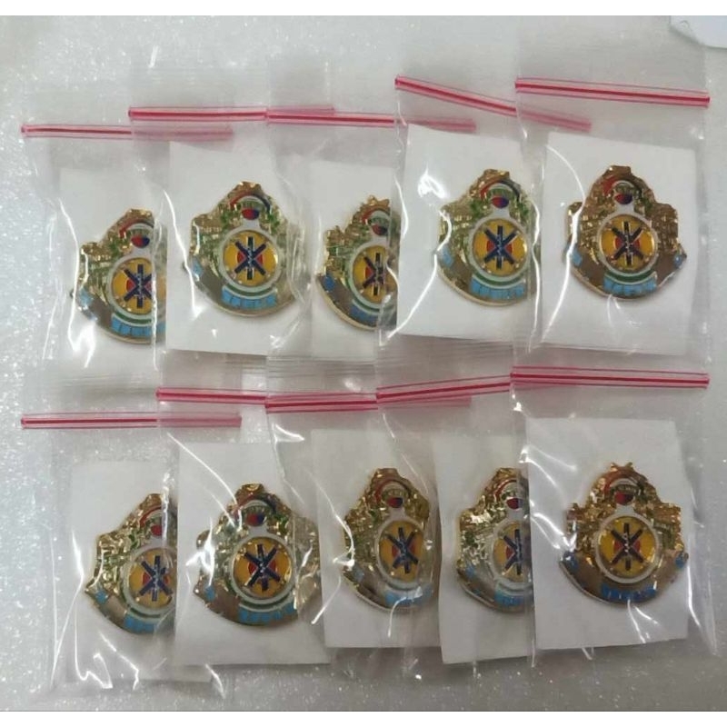 NFTI (National Fire Training Institute) Pin | Shopee Philippines