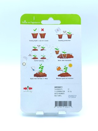 EAST-WEST SEED EMPEROR F1 HYBRID SWEET PEPPER / BELL PEPPER / ATSAL ...