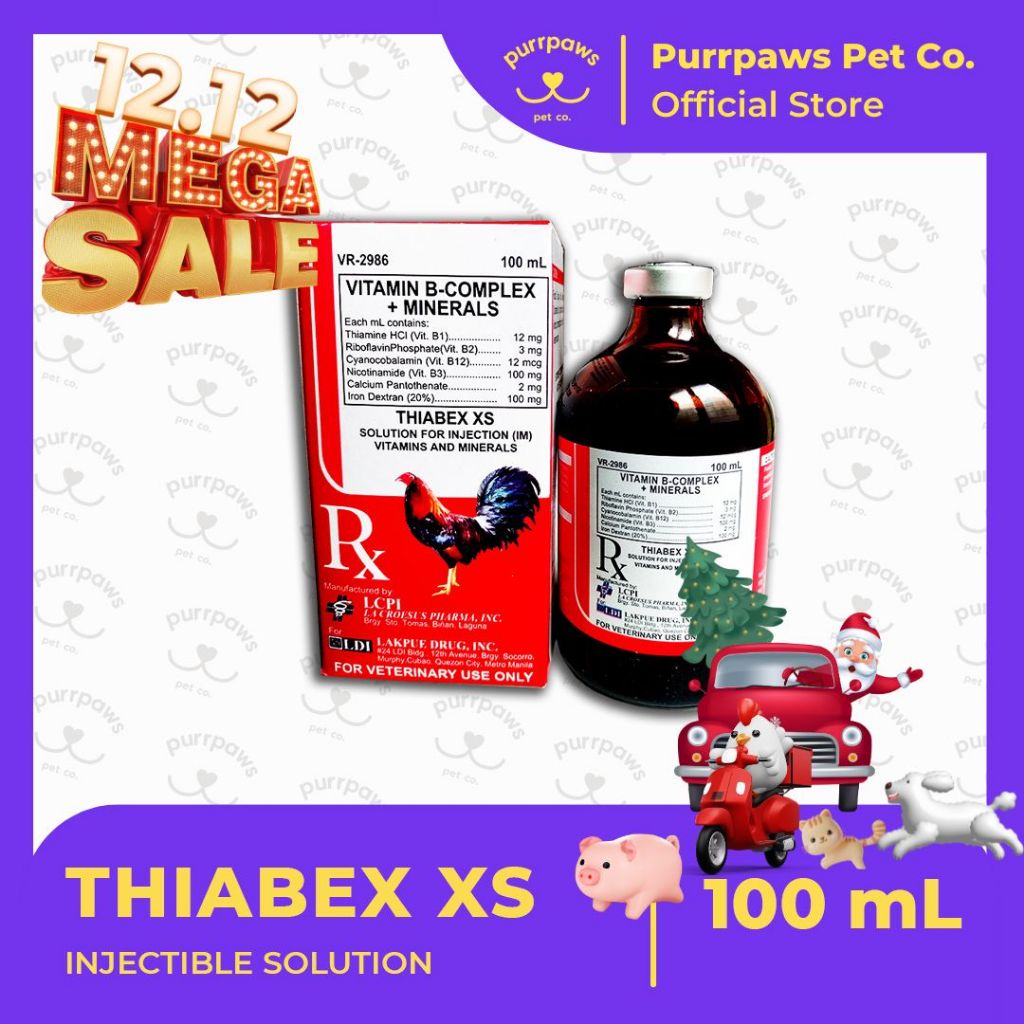 THIABEX XS Vitamin B-Complex + Minerals (100 ml) | Shopee Philippines