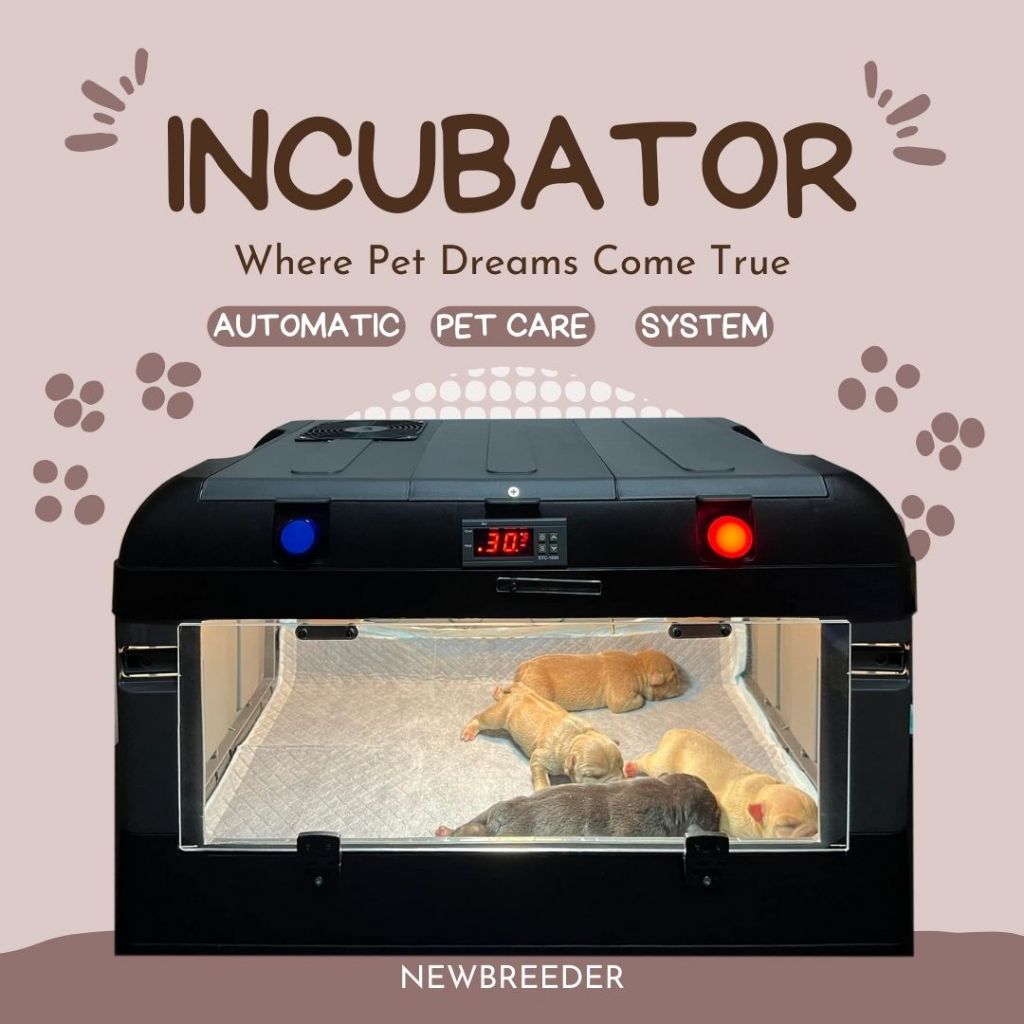 Puppy and Kitten Incubator for Newborn Puppy and Kitten Cats and Dogs ...