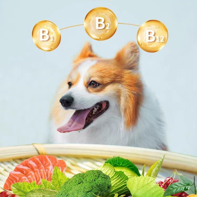 LC-Vit Multivitamins+Lysine, Pet Multivitamins For Cat Dog Vitamins 120 ...