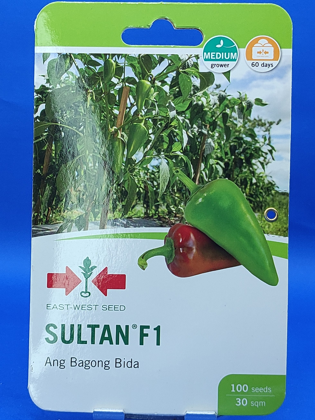 EAST-WEST SEED SULTAN F1 HYBRID SWEET PEPPER / BELL PEPPER / ATSAL ...