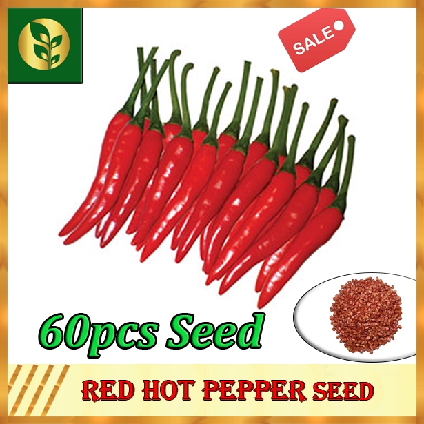 Red Hot Pepper Seeds | Siliing Red | Chili Seeds | Sili Seeds ...