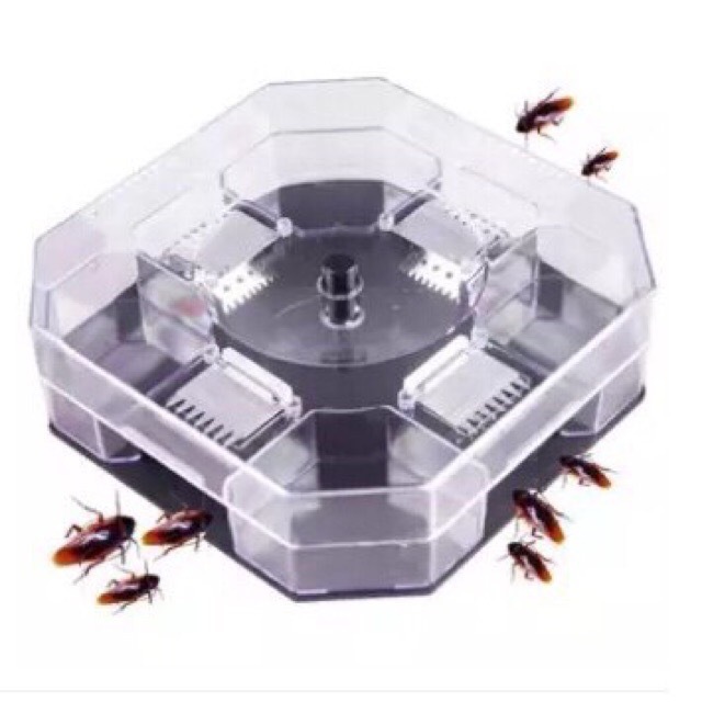 1SET Ant cockroaches trap killer ant catcher temptation P2482 | Shopee ...