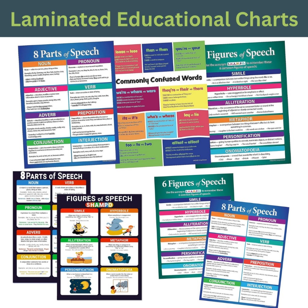 Laminated Commonly Confused Words, Figures of Speech, Parts of Speech ...