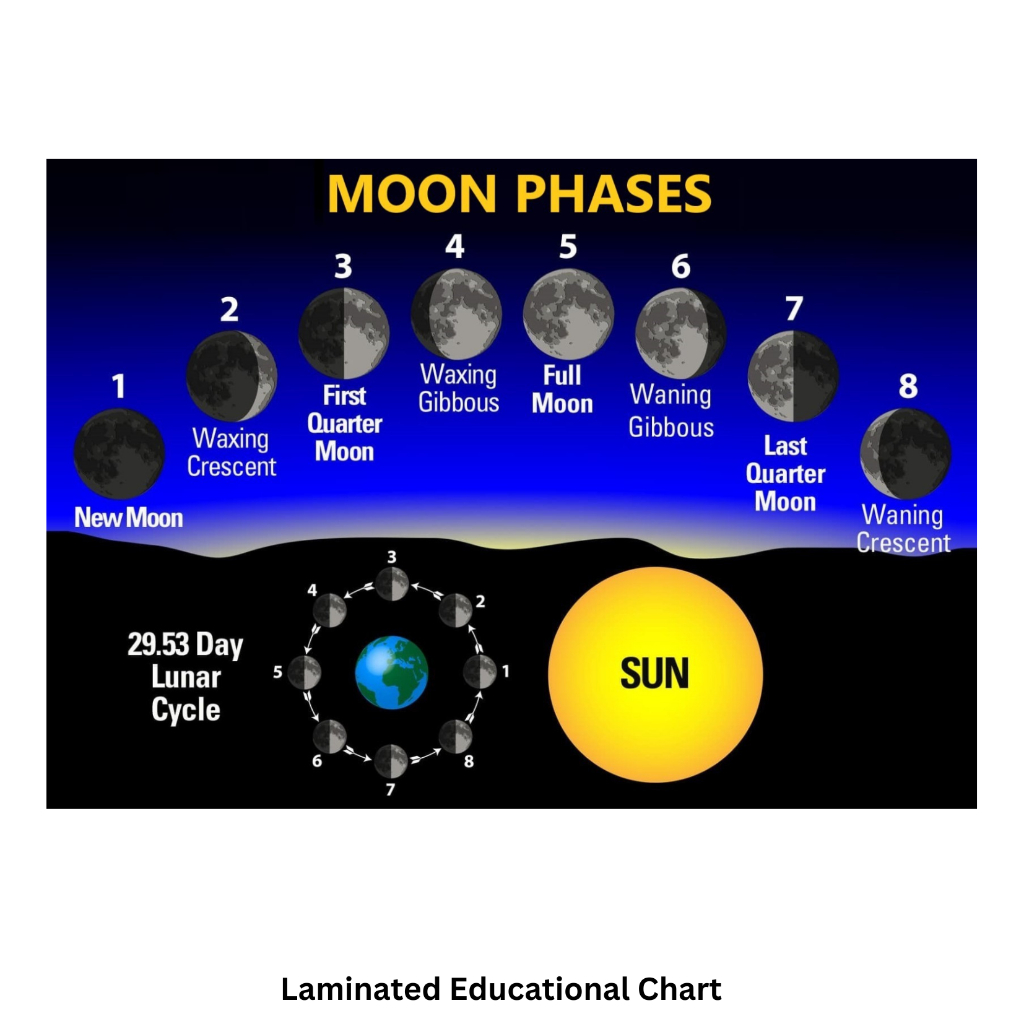 Phases of the Moon, Moon Phases, Laminated Charts for Kids, Students ... Phases of the Moon, Moon Phases, Laminated Charts for Kids, Students ...