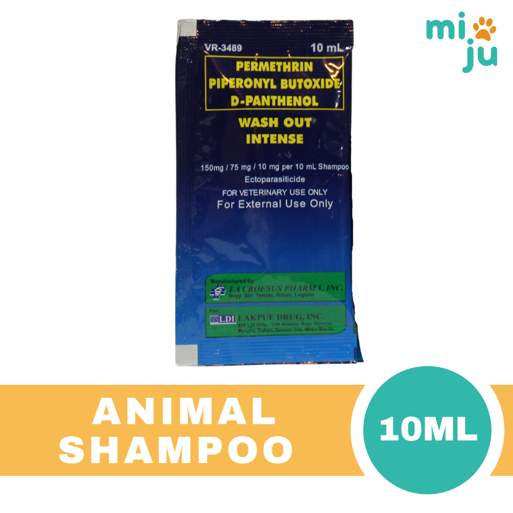 Wash Out Intense Shampoo 10ml (1 Sachet) | Shopee Philippines