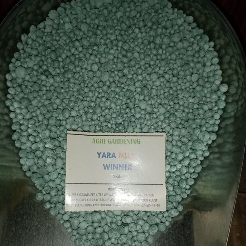 YARA WINNER MILA 15-9-20 | Shopee Philippines