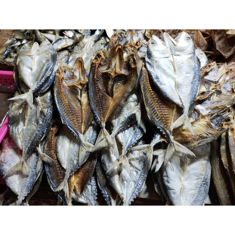 Dried Gumaa (Hasa-hasa) (250g) | Shopee Philippines