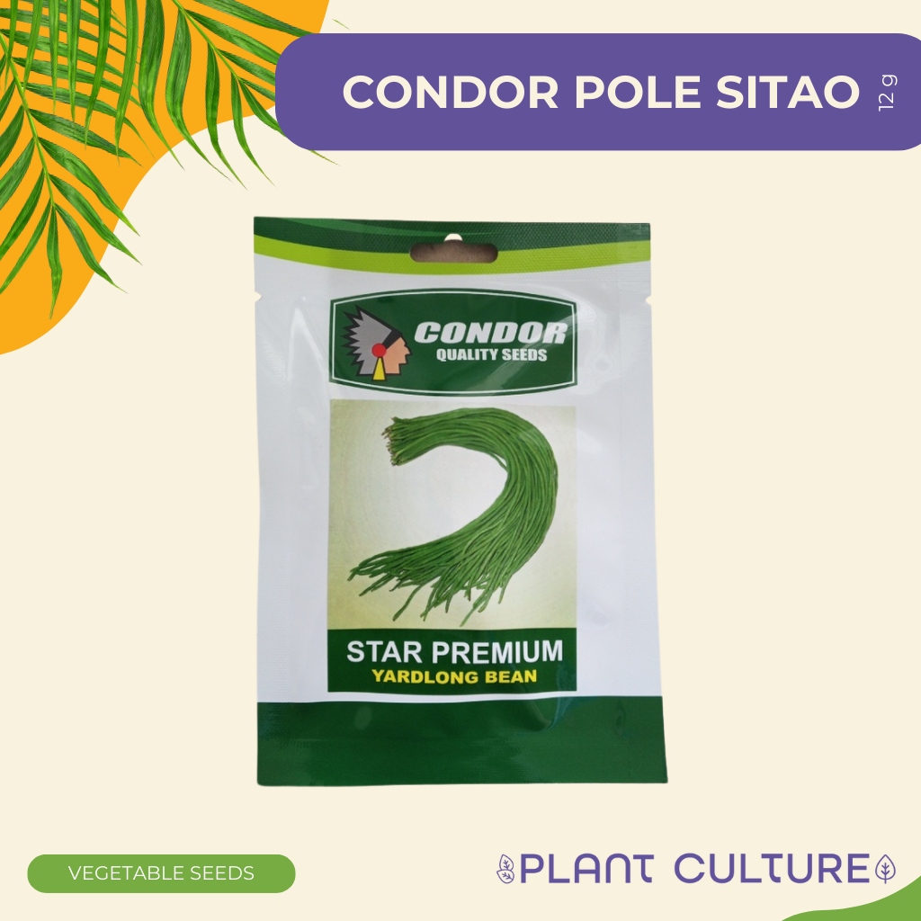 Condor Quality Seeds Pole Sitao Star Premium Yardlong Bean 12grams ...