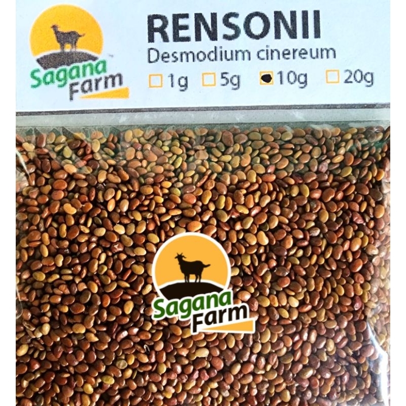 Rensonii Seeds 10 grams (Desmodium cinereum) | Shopee Philippines