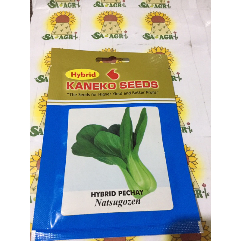 Natsugozen (Choy) Hybrid Pechay Seeds (5g) | Shopee Philippines