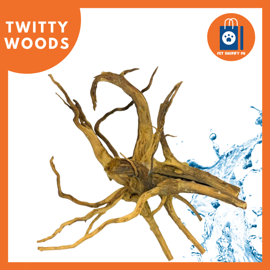 Tweety Wood | Drift Wood Aquascaping Small Medium Large XLarge per ...