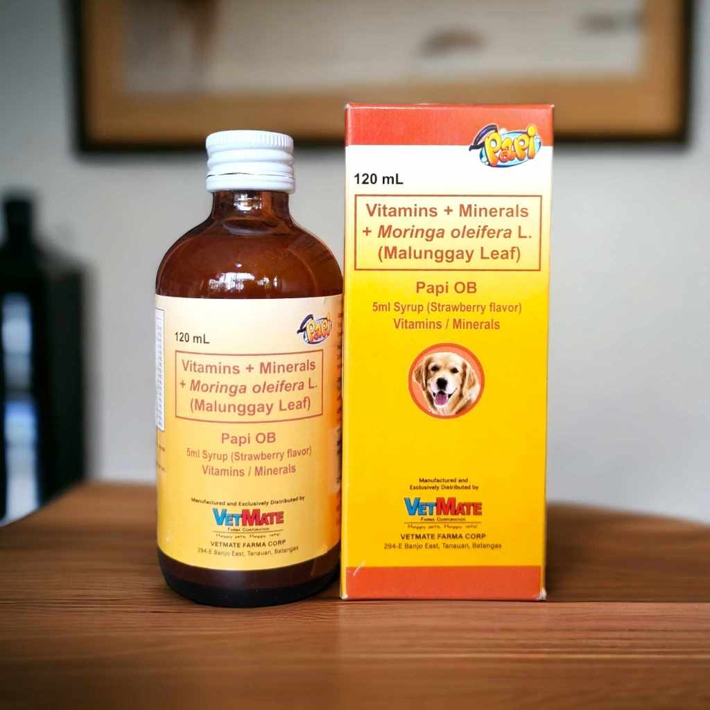 Papi OB 120mL: Vitamins + Minerals + Moringa oleifera L. (Malunggay ...
