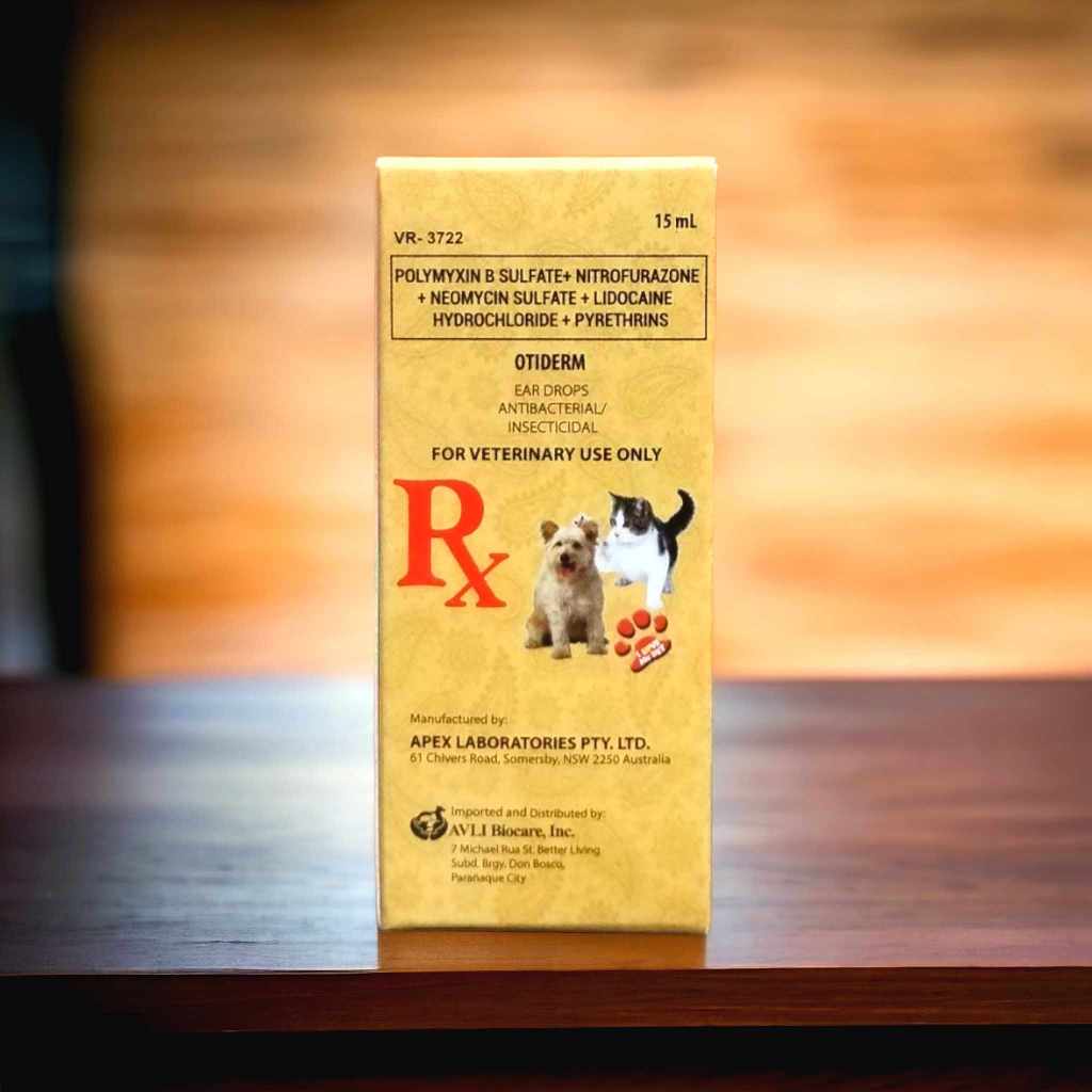 Otiderm Ear Drops 15mL | Shopee Philippines