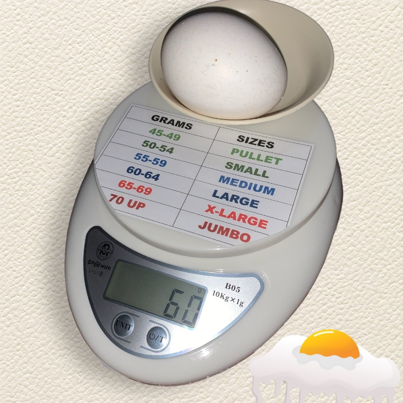 Electronix Egg weighing Scale dual function kitchen scale | Shopee ...