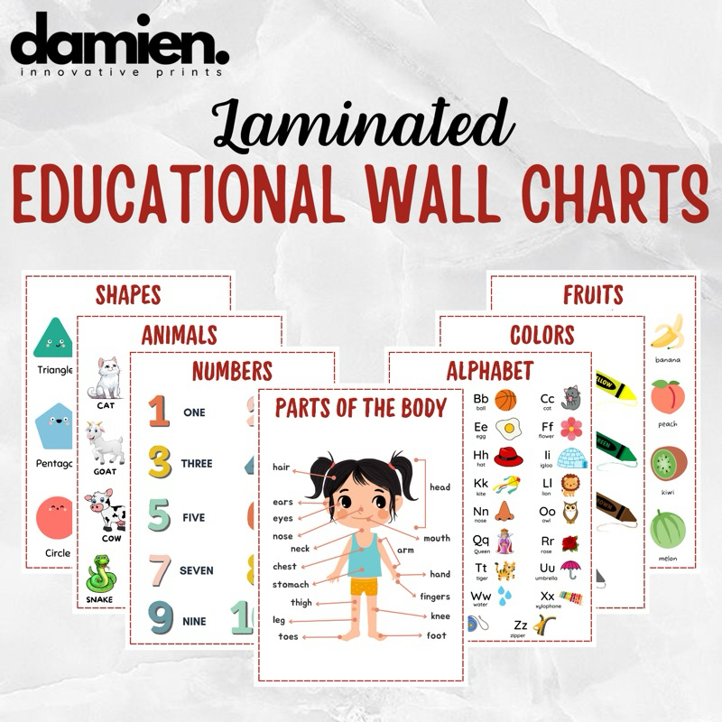 LAMINATED EDUCATIONAL WALL CHARTS | A4 SIZE | Shopee Philippines