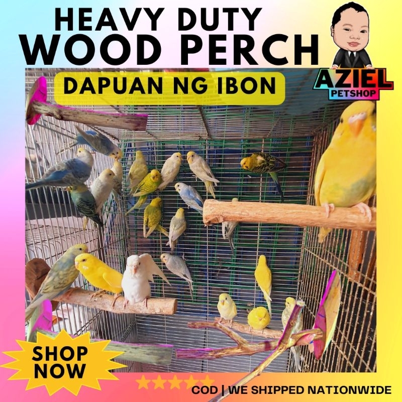 Bird Perch Dapuan ng ibon | Shopee Philippines