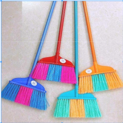 Plastic Handle Whisk Broom ( Walis Tambo) | Shopee Philippines