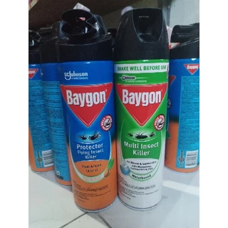 baygon spray - Best Prices and Online Promos - Jan 2026 | Shopee ...