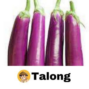 WHOLESALE VEGETABLE SEEDS/TALONG SEEDS/EGGPLANT SEEDS 50PACKS PER ...