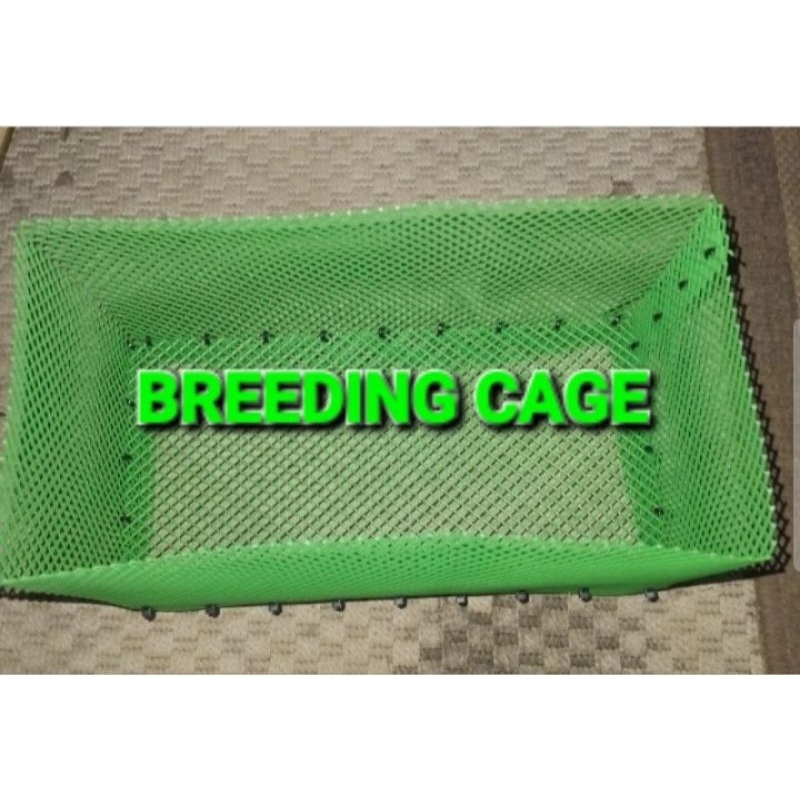 BREEDING CAGE FOR FISH ( danios,molly,tetra,guppy, etc ) | Shopee ...