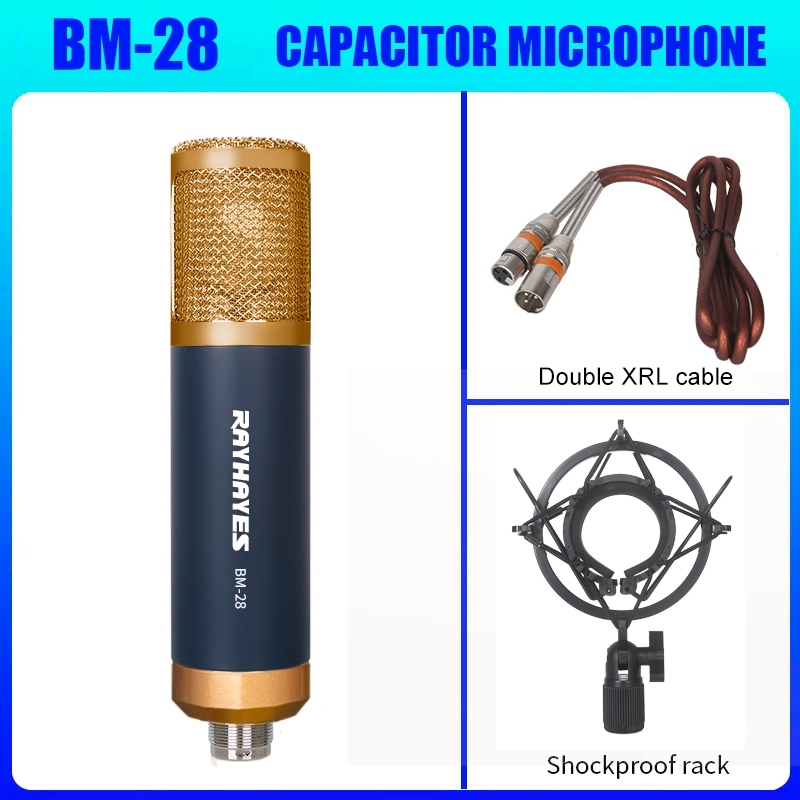 RAYHAYES BM-28 Recording Microphone Condenser Mic Gaming Microphone and ...