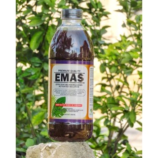 EMAS Effective Microorganisms Activated Solution | Robillos ...